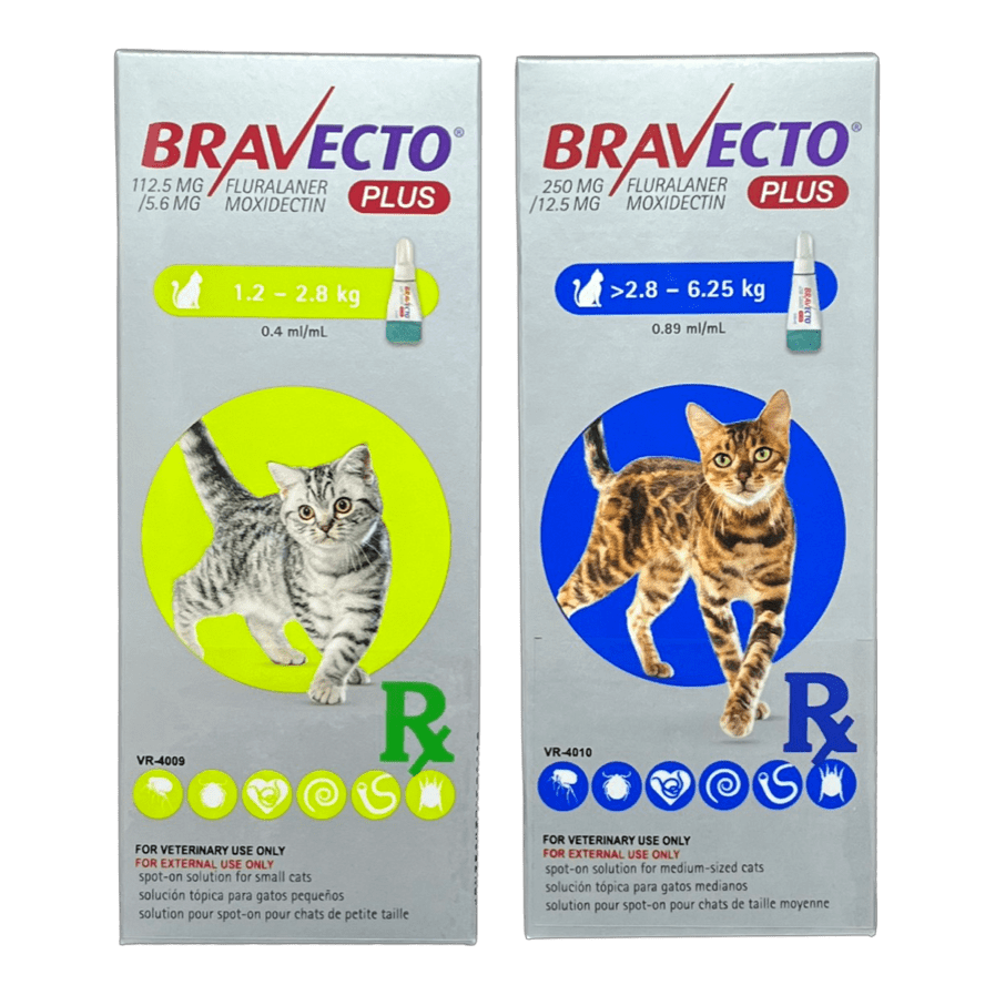 Home - Bravecto